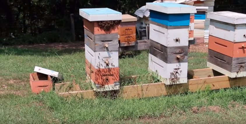 DIY Hive Stand Video Tutorial Keeping Backyard Bees diy-hive-stand-video-tutorial-keeping-backyard-bees