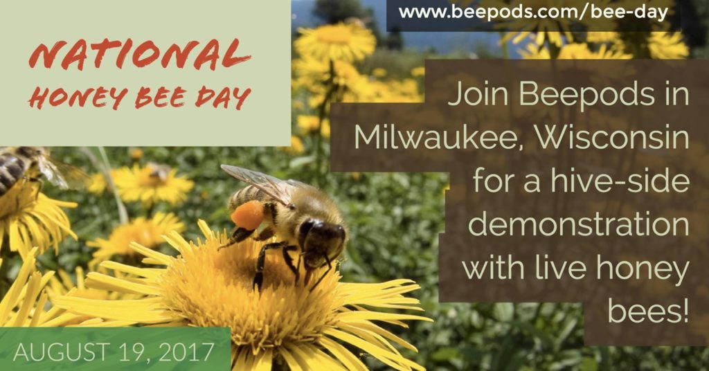 national honey bee awareness day Keeping Backyard Bees