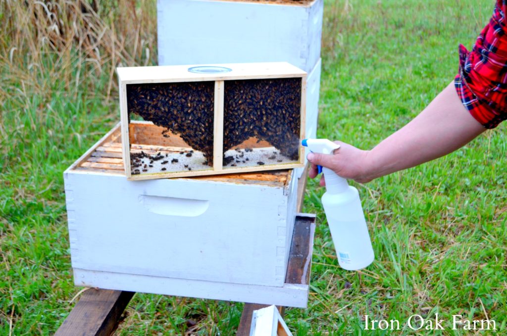 How to Calm Bees With Sugar Spray Keeping Backyard Bees